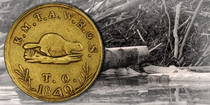 Oregon $5 Territorial Gold Beaver Coins: Move Over, Pelts and Furs