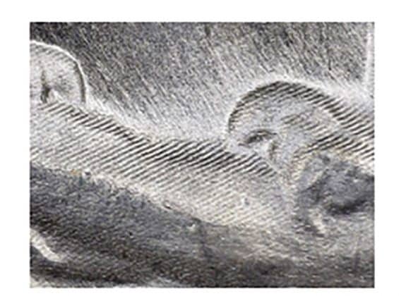 NGC Counterfeit Coin Detection: Walking Liberty Half Dollars