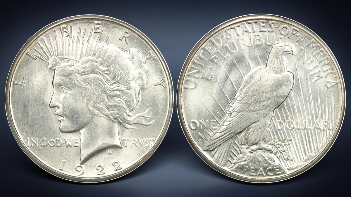 What Coin Graders Look at When Grading Coins